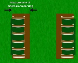 IPC Class 2 vs Class 3: The Different Design Rules | Sierra Circuits
